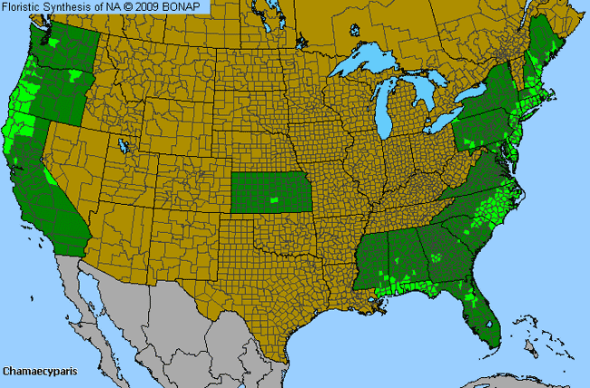 Port Orford-Cedar (Chamaecyparis) Genus Level Details & Allergy Info
